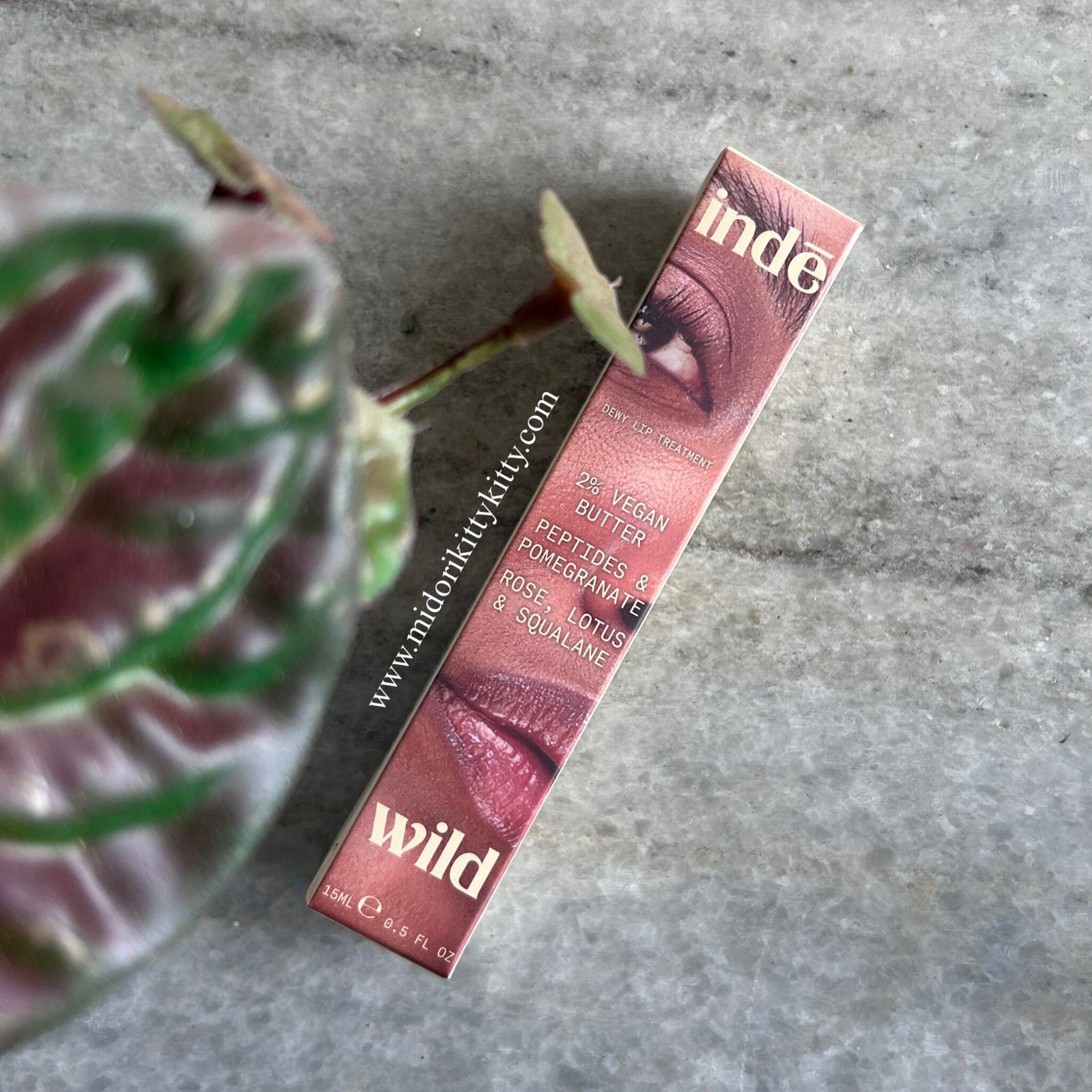 Review: Inde Wild Dewy Lip Treatment. | Midori Kitty Kitty!